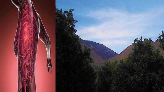 Experimenta | BFI London Film Festival 2023